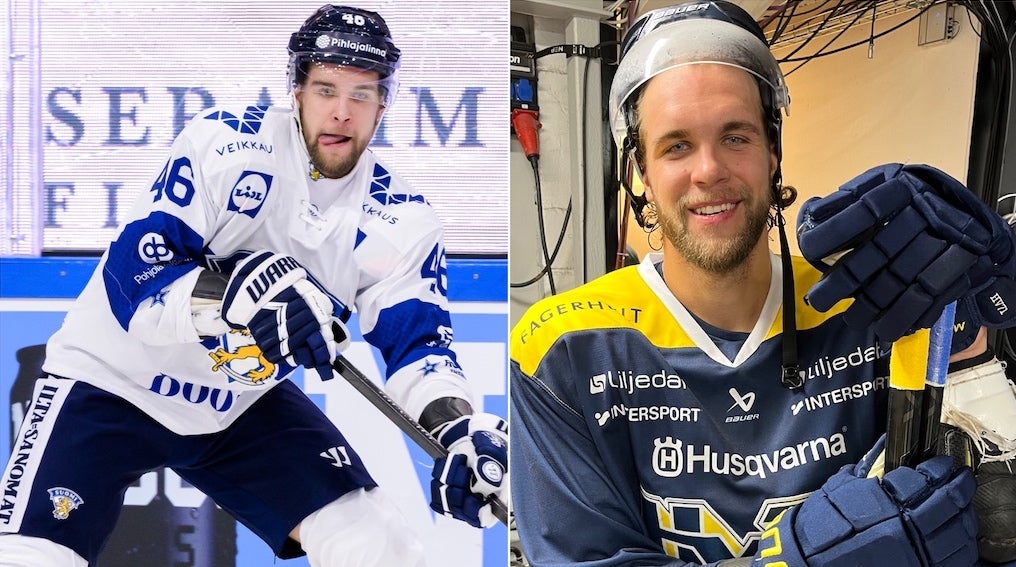 Uppgifter: forwarden förlänger med HV71 - HockeyNews