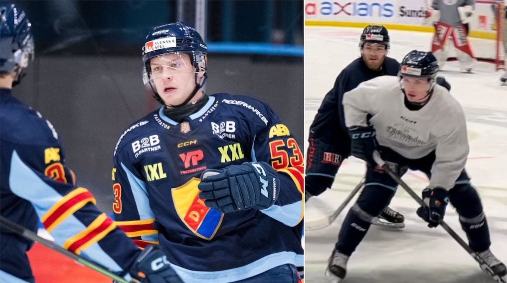 Blomgren frisk – går in i DIF:s toppkedja - HockeyNews