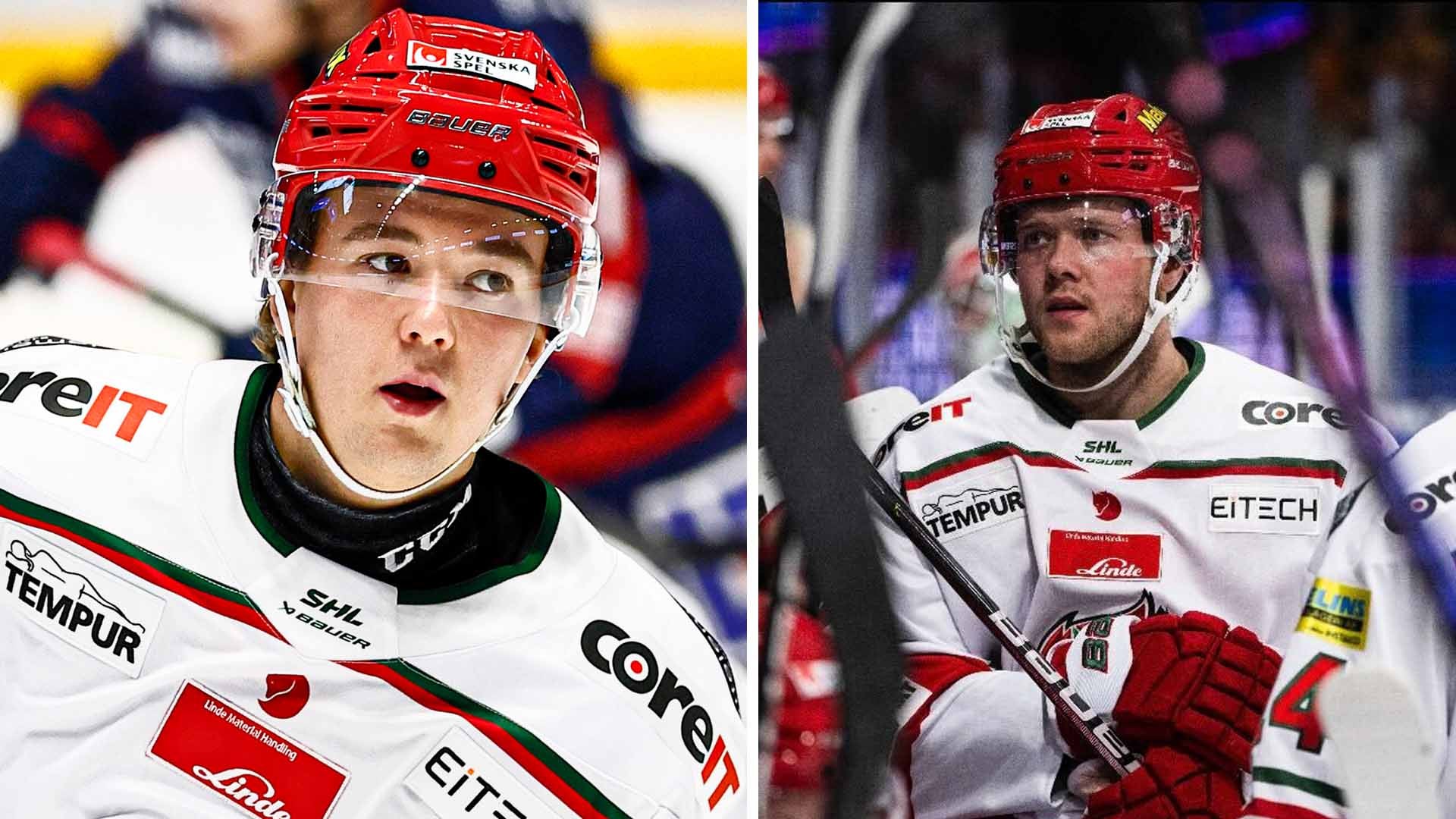 Modo kallar hem duon – ansluter imorgon - HockeyNews