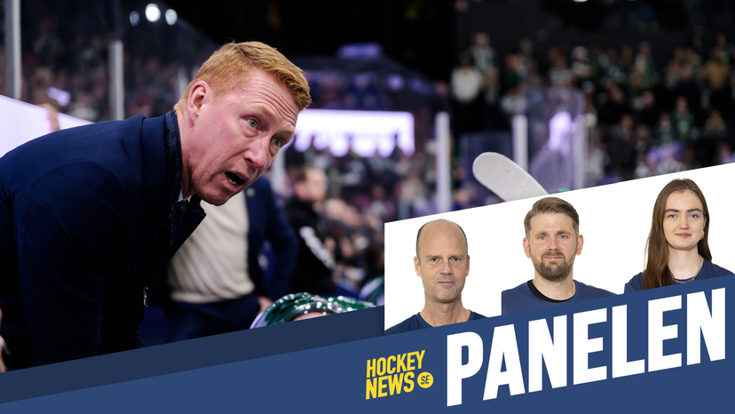 PANEL: Hela affären – för bra för att vara sann? - HockeyNews