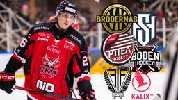Kalix HC – Senaste nytt, Trupp & Matcher - HockeyNews