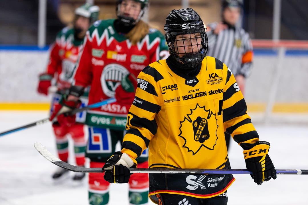 Från synfel till SDHL: "Käftsmäll varje gång" - HockeyNews
