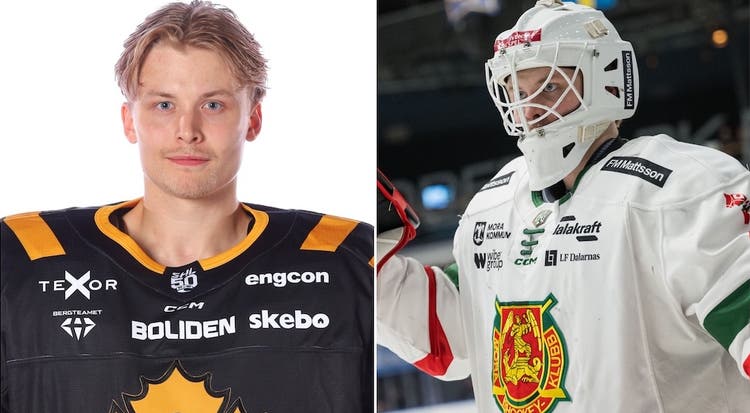 Djurgårdens IF – Senaste nytt, Trupp & Matcher - HockeyNews