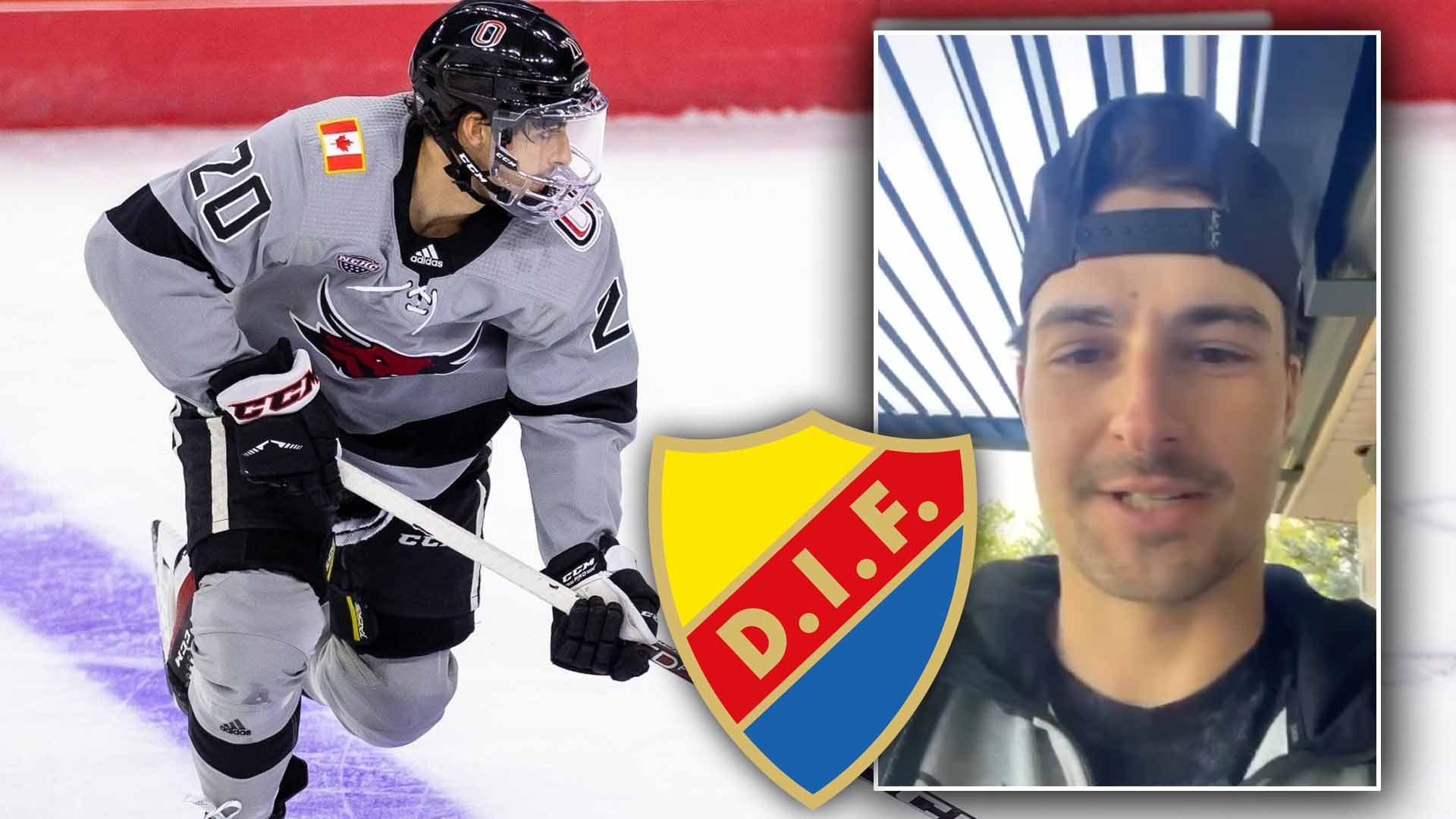 Nya DIF-backens hälsning till fansen - HockeyNews