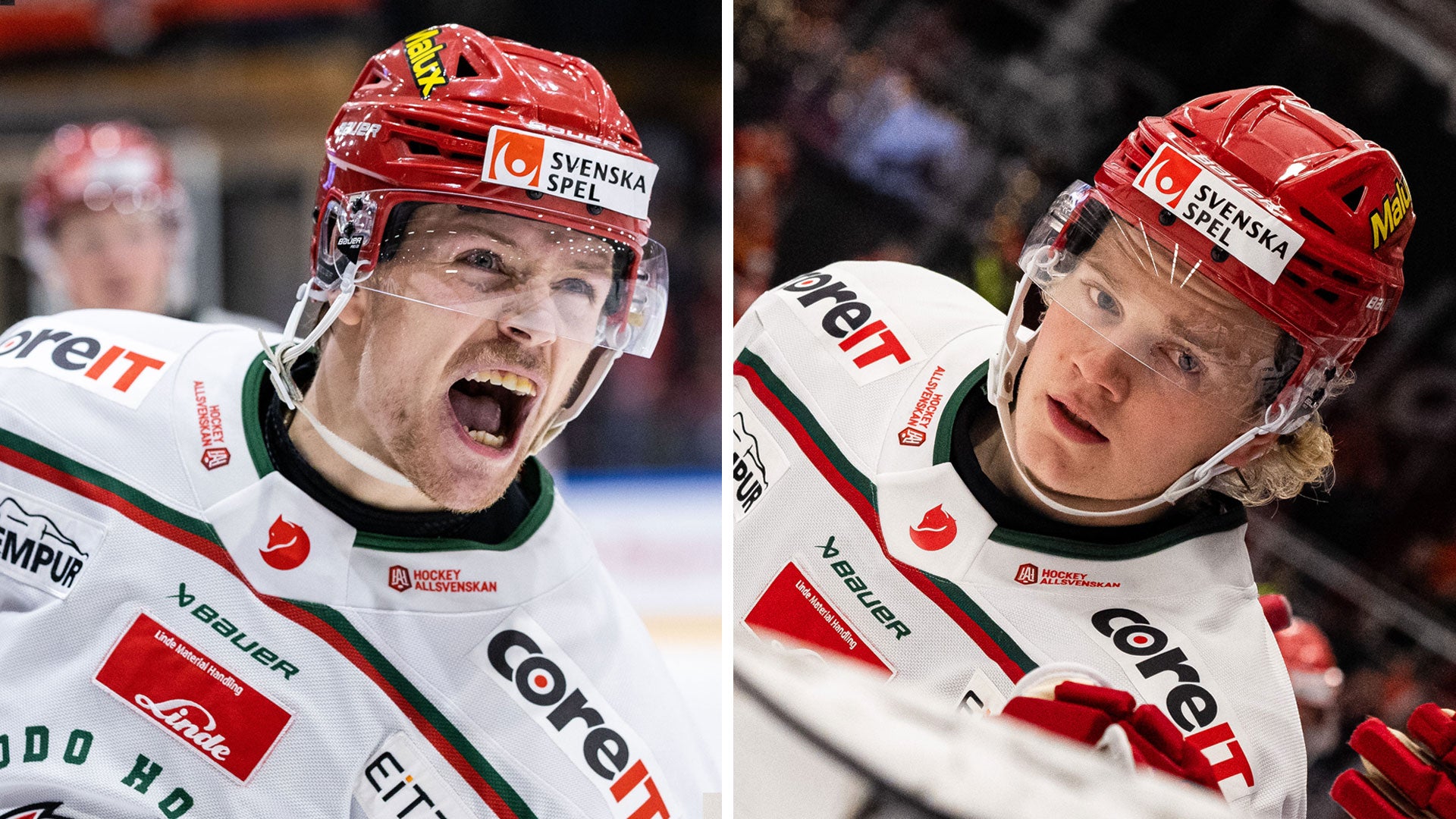 Modo skriver nytt kontrakt med Aagaard och Niederbach - HockeyNews