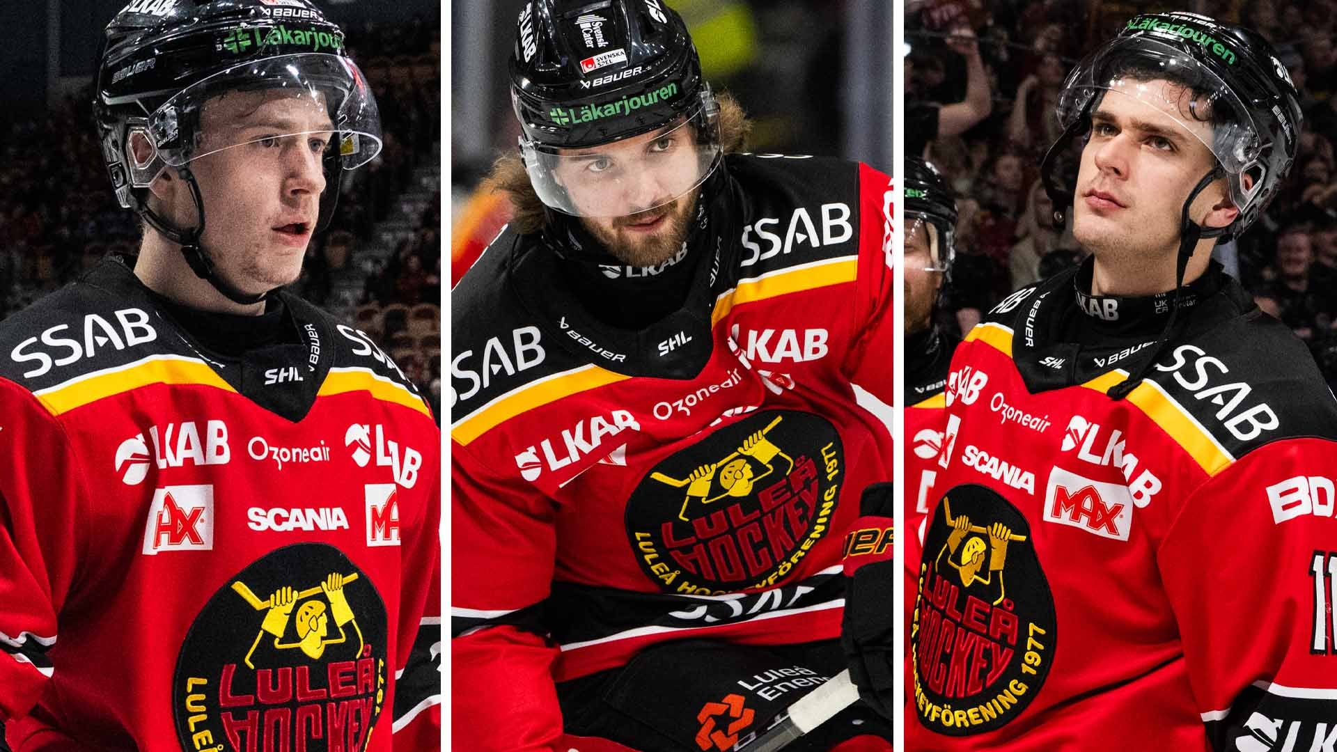 Brodecki med stjärnorna: "Kan bli riktigt bra" - HockeyNews