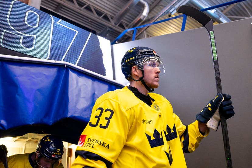 HV71 värvar landslagsmeriterad back - HockeyNews