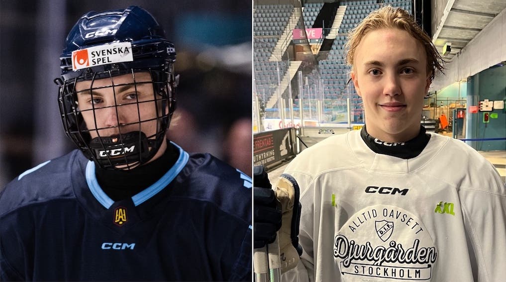 DIF:s 17-åring – "tillräckligt smart" - HockeyNews