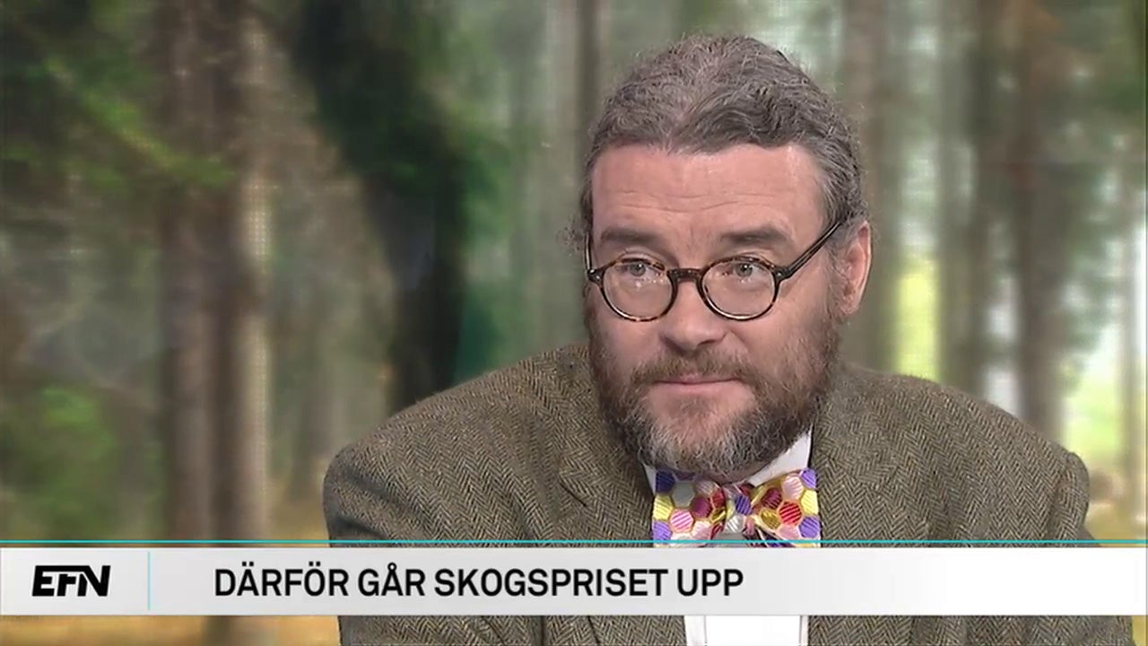 Skog som investering – så funkar det