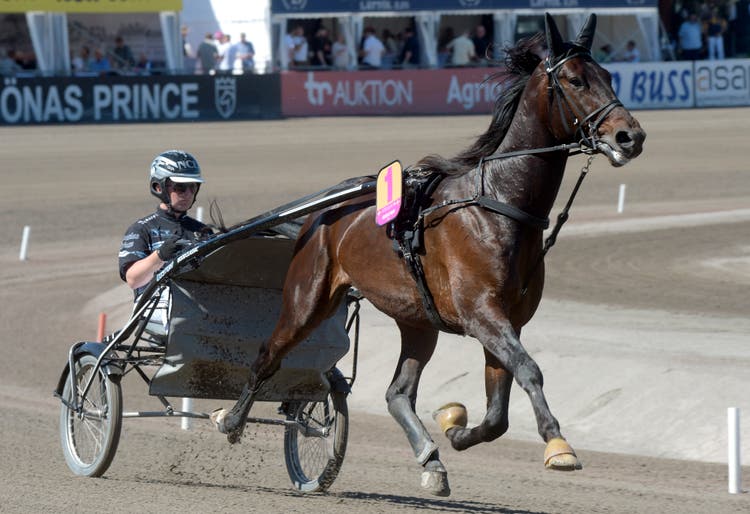 DD-tips: Hur göra i Copenhagen Cup?