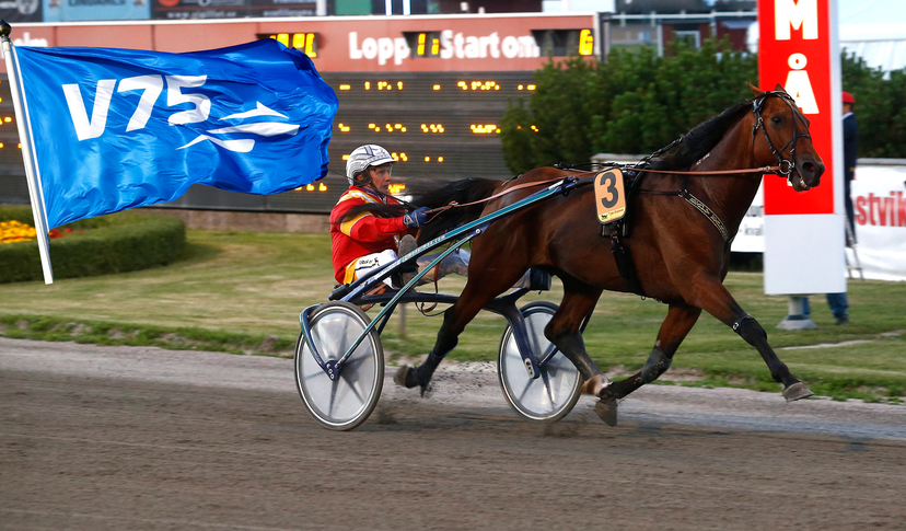 Historisk V75-omgång på Tingsryd nästa helg