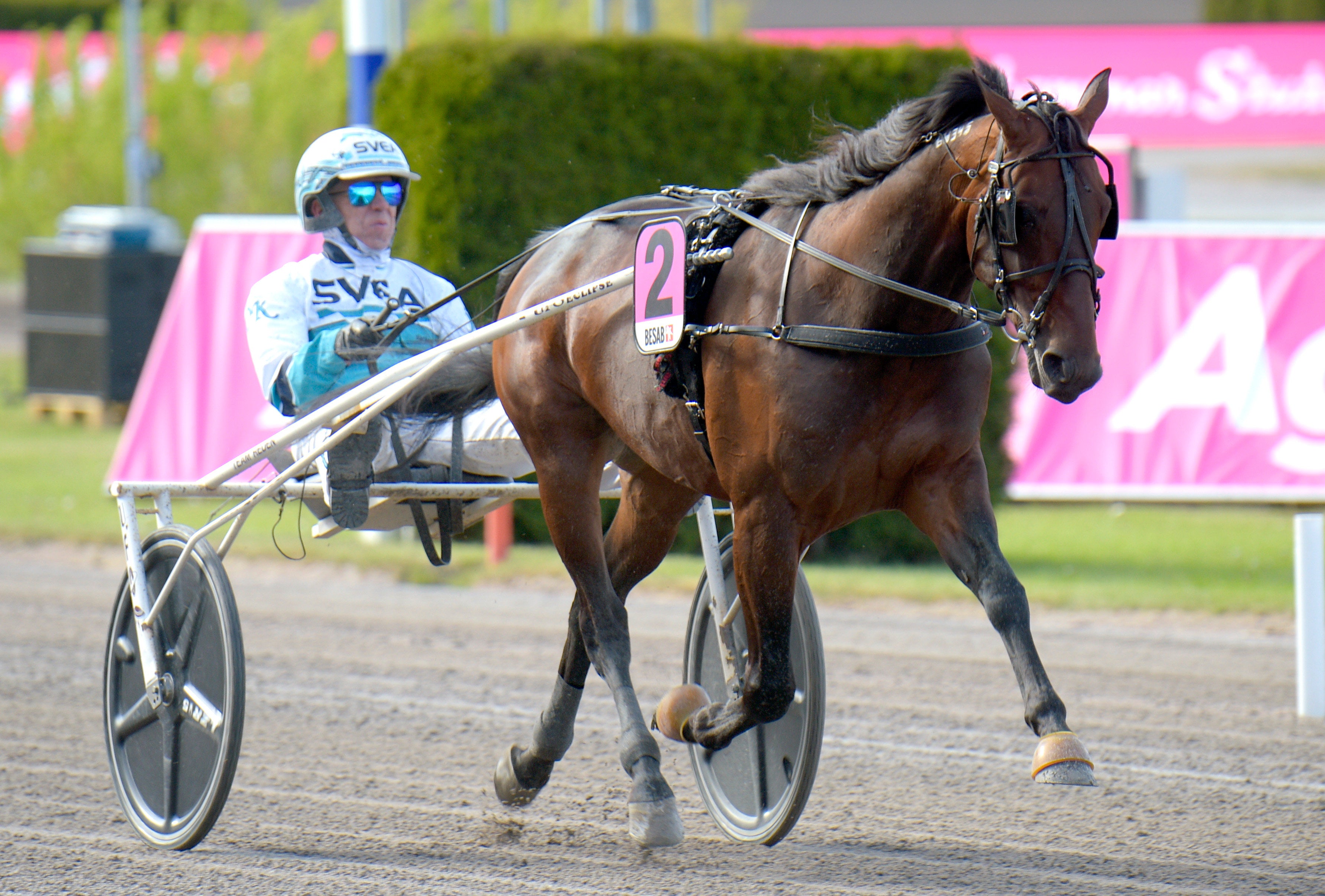Redéns rysardrag i Elitloppet: "Bortglömd"