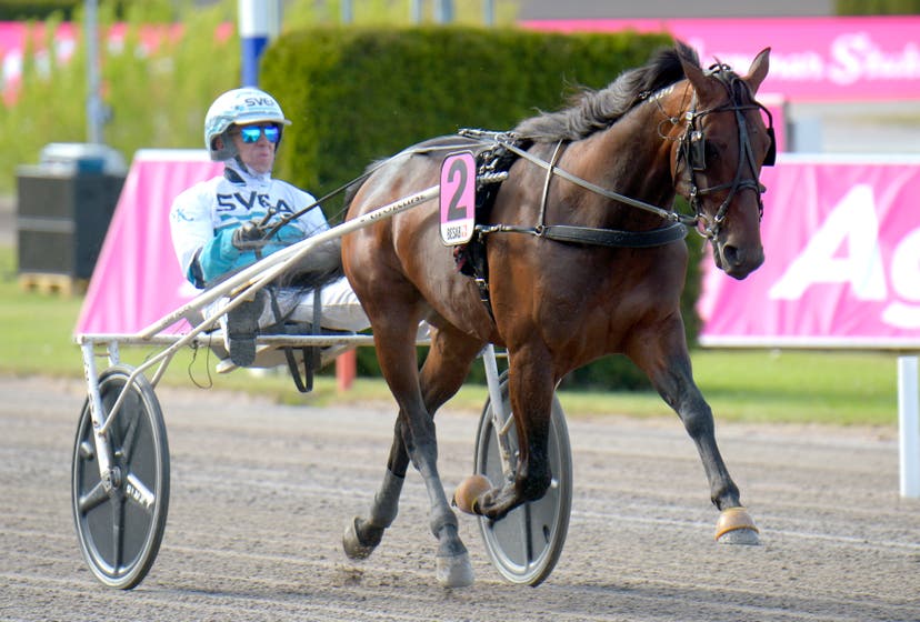 Redéns rysardrag i Elitloppet: "Bortglömd"