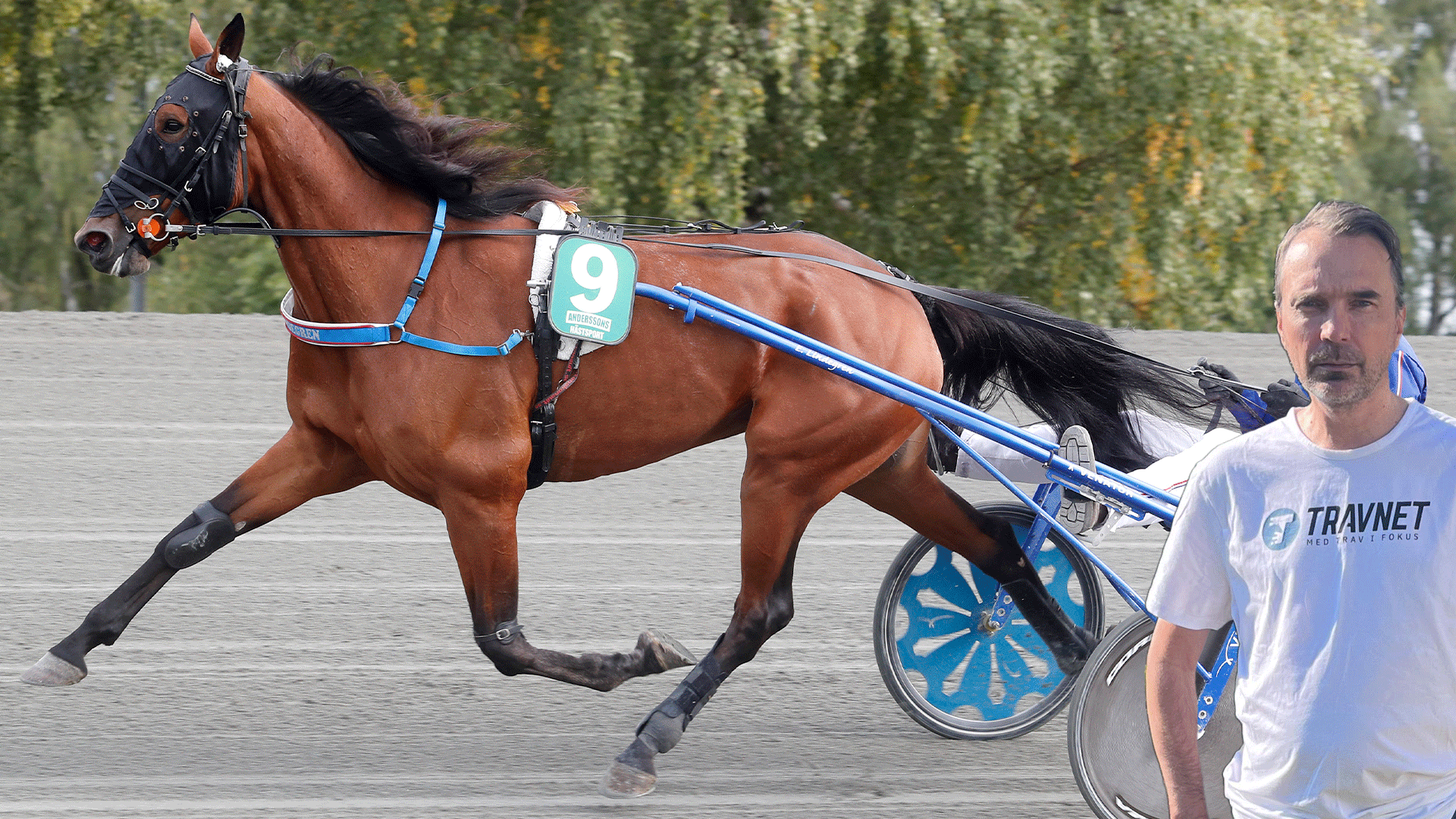 DD-tips: Barfota i den nya regin bäddar för odds | Travnet.se