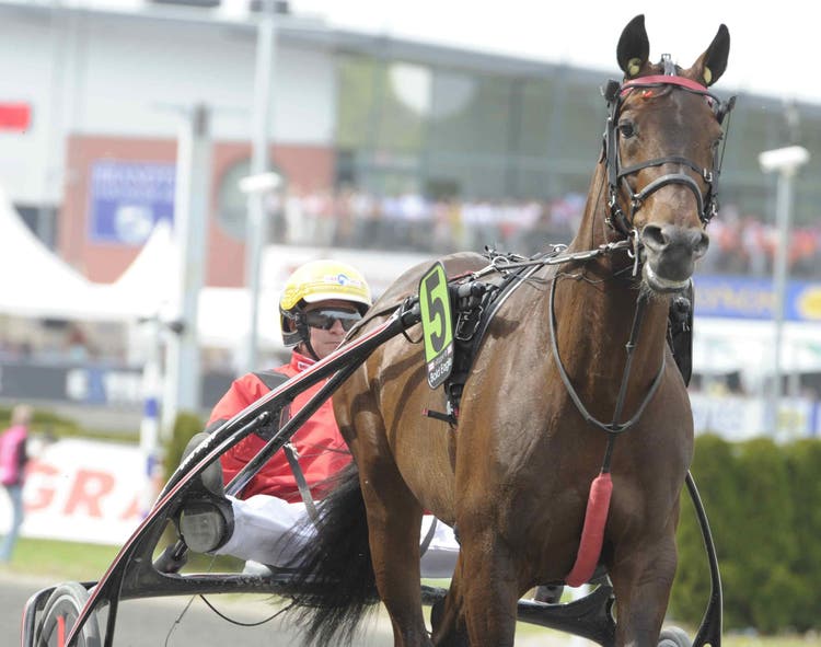 V86 Tips - Gratis Systemförslag, Ranking & Analys | Travnet