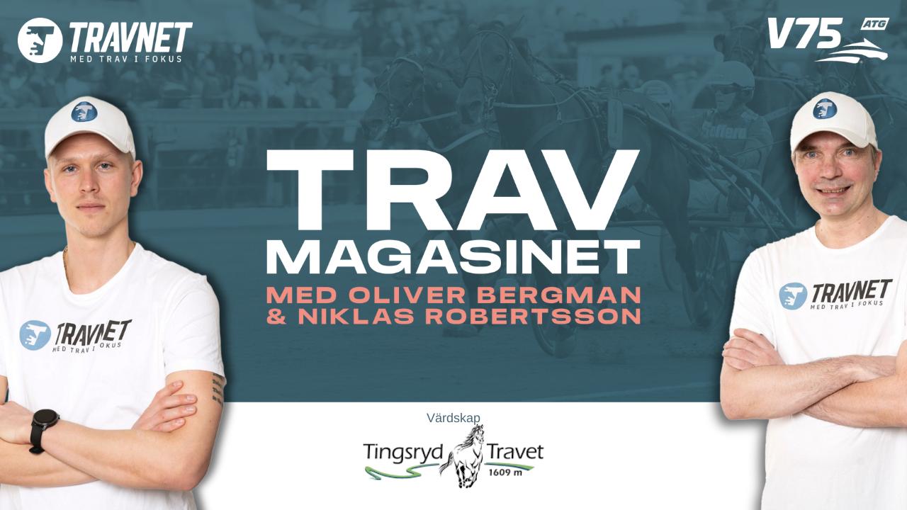 Magasinet: Bergman spikar Robertssons förstahäst