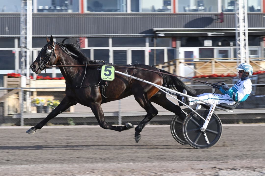 Tuffa lottningen för Don Fanucci Zet