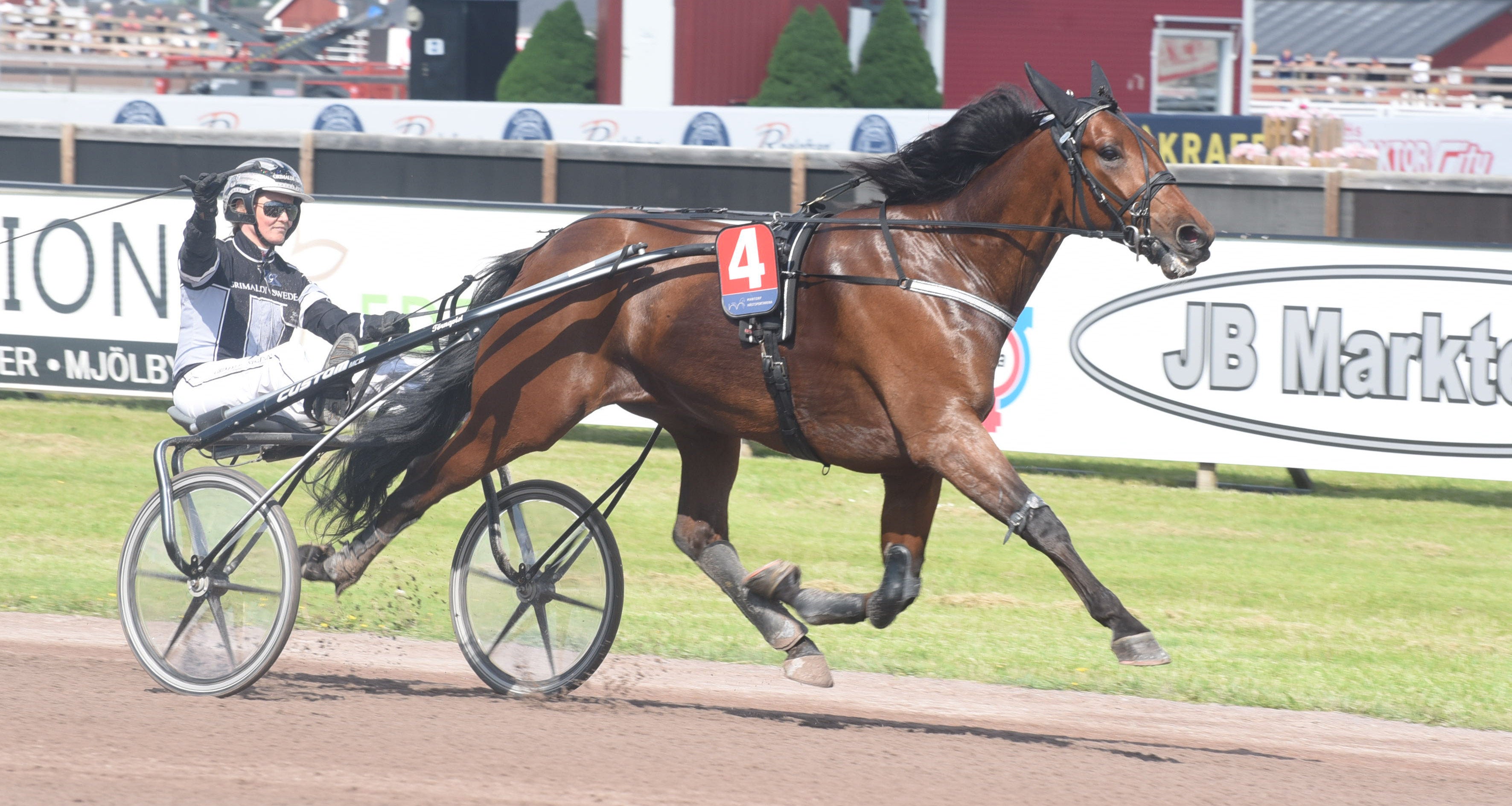Inför V75: Favoritkollen Jackpot Mearas | Travnet.se