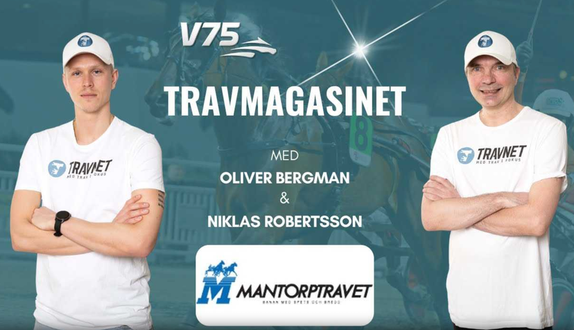 Travnet » Tips, Krönikor och Nyheter - Med Spel & Sport i Fokus