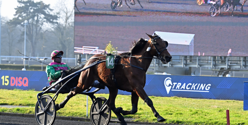Häst nummer tretton klar för Elitloppet