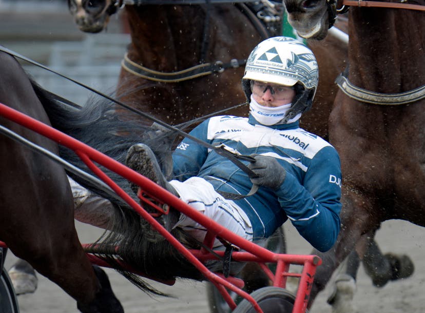 KLART: Djuses val i Elitloppet