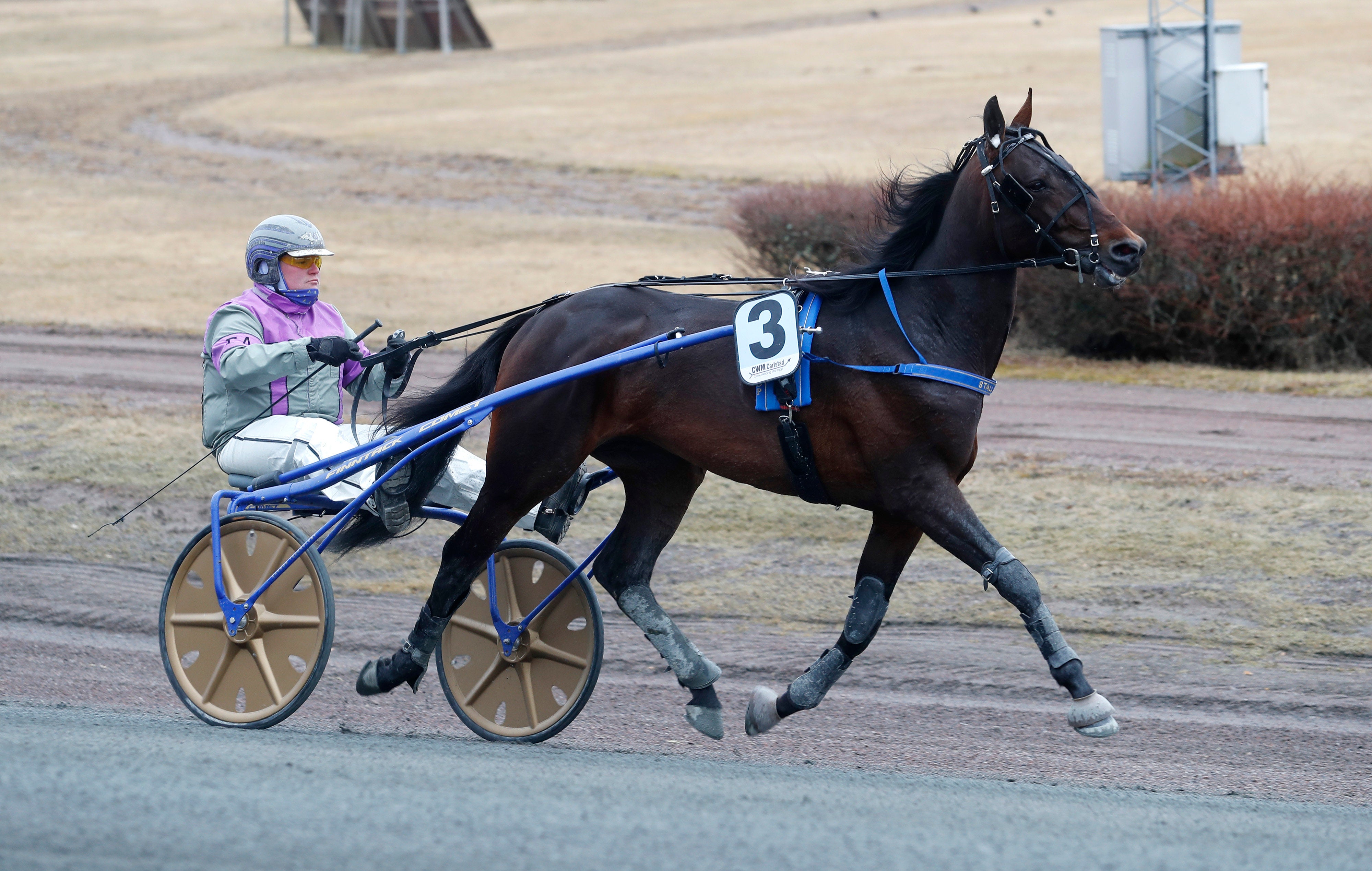 Norsk V75-vinnare flyttad till Sverige | Travnet.se