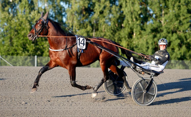 V4-tips: Norsk spik på svensk mark